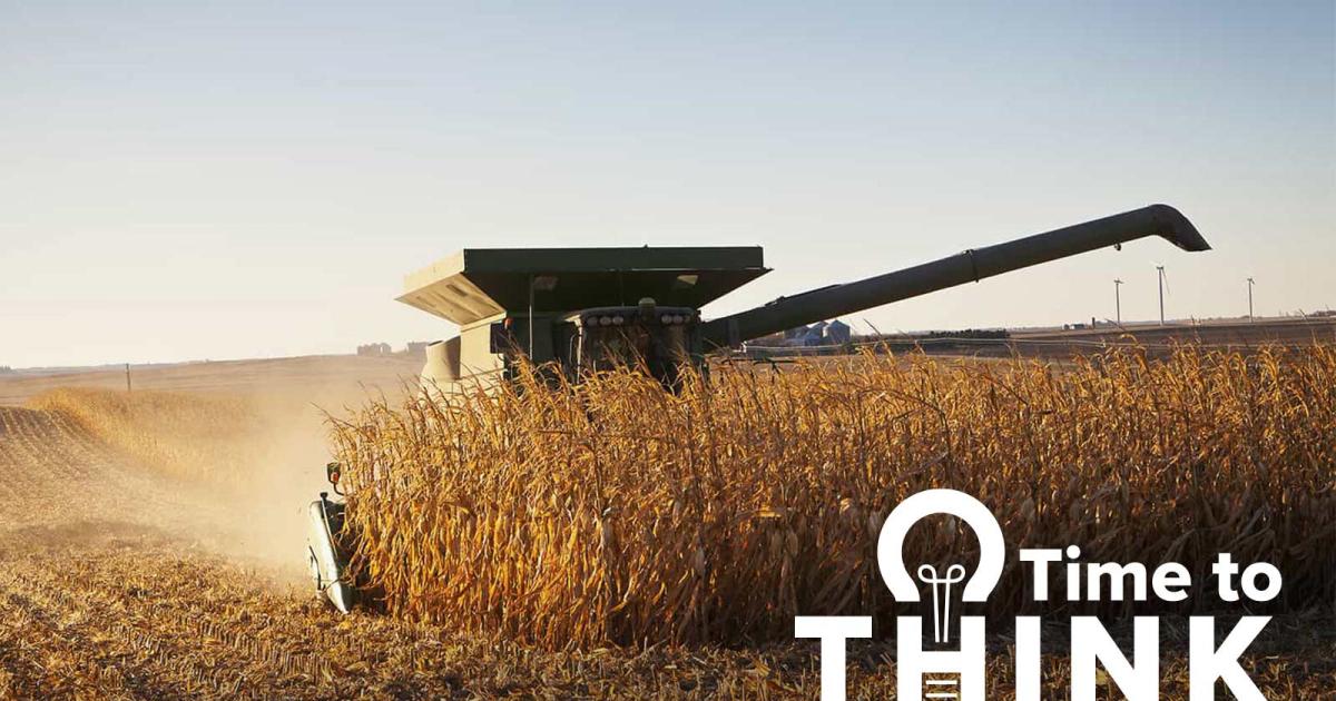 Time to Think – Corn | AMVAC